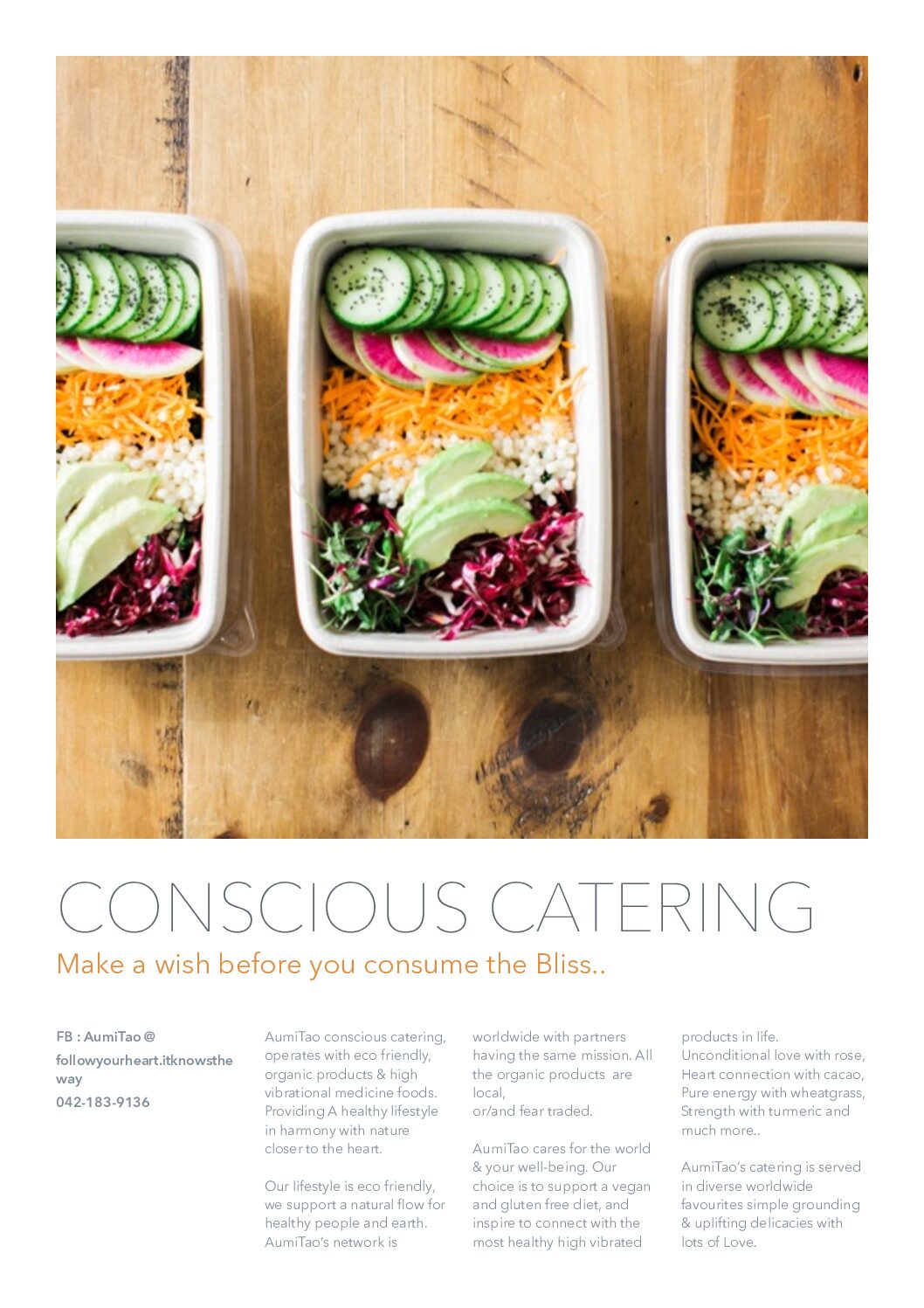 Conscious catering template – AUMI TAO